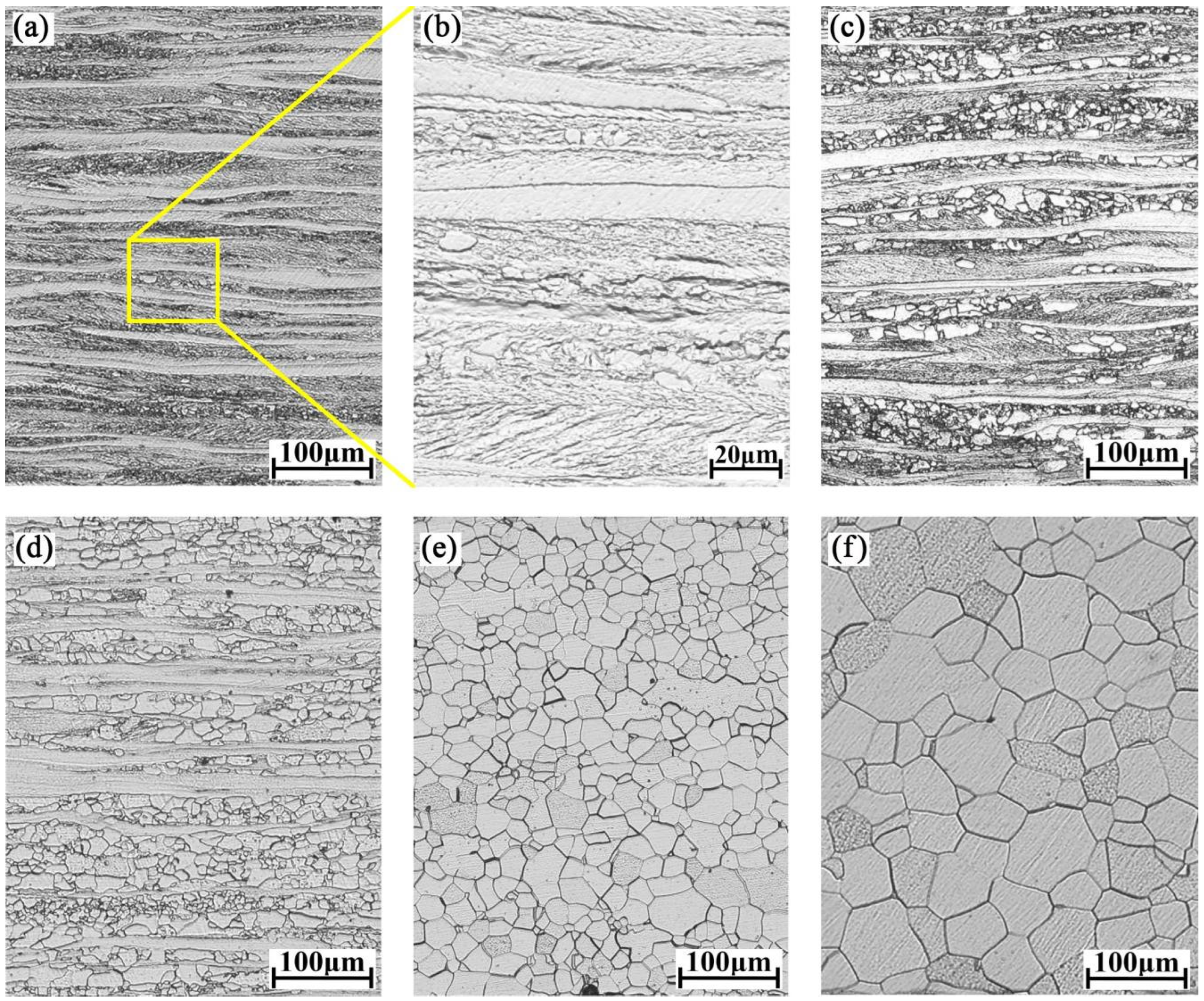 Study on the Recrystallization Behavior and Texture Evolution of 0.5 mm ...