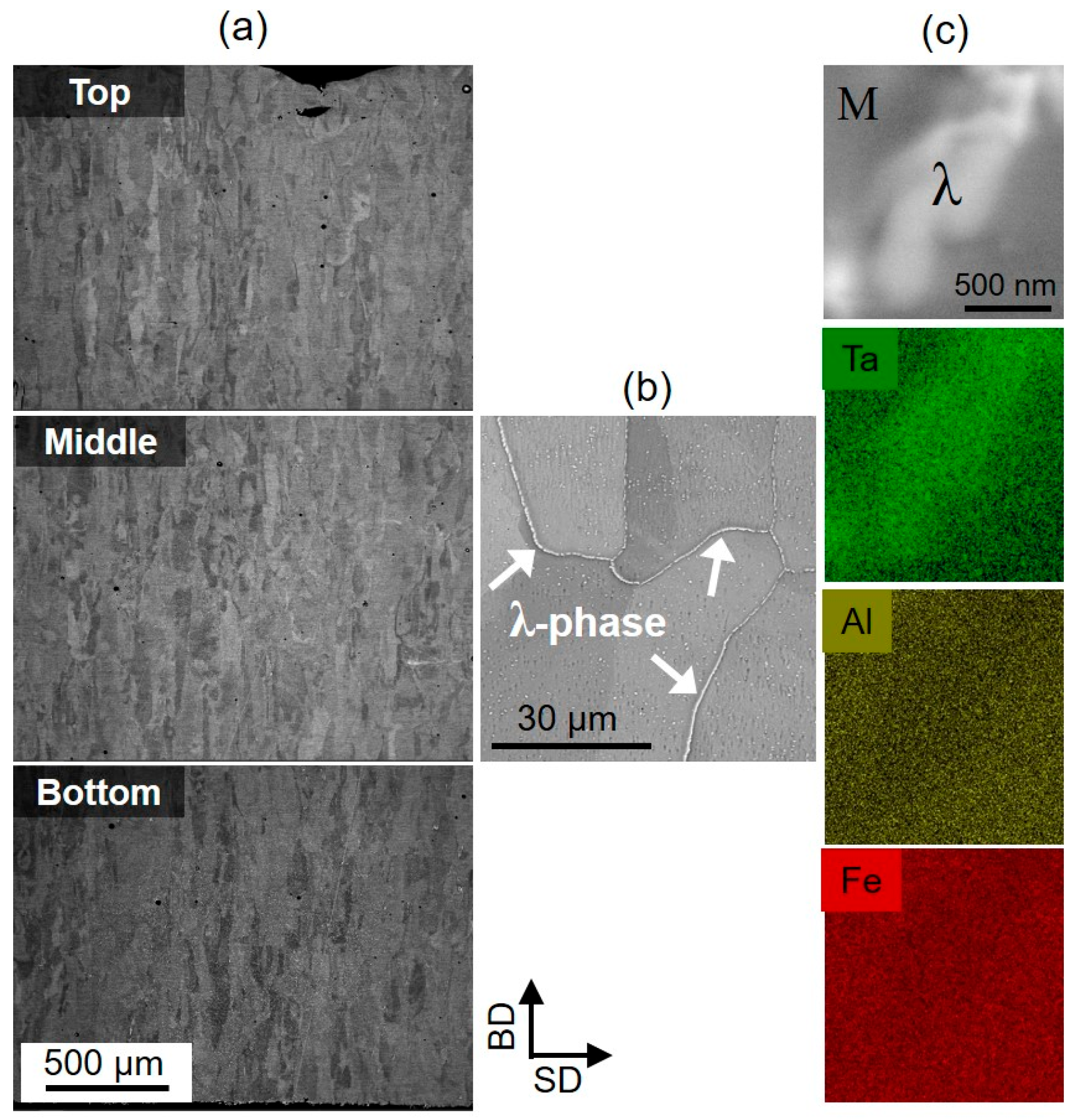 Highly Printable Fe3Al Intermetallic Alloy
