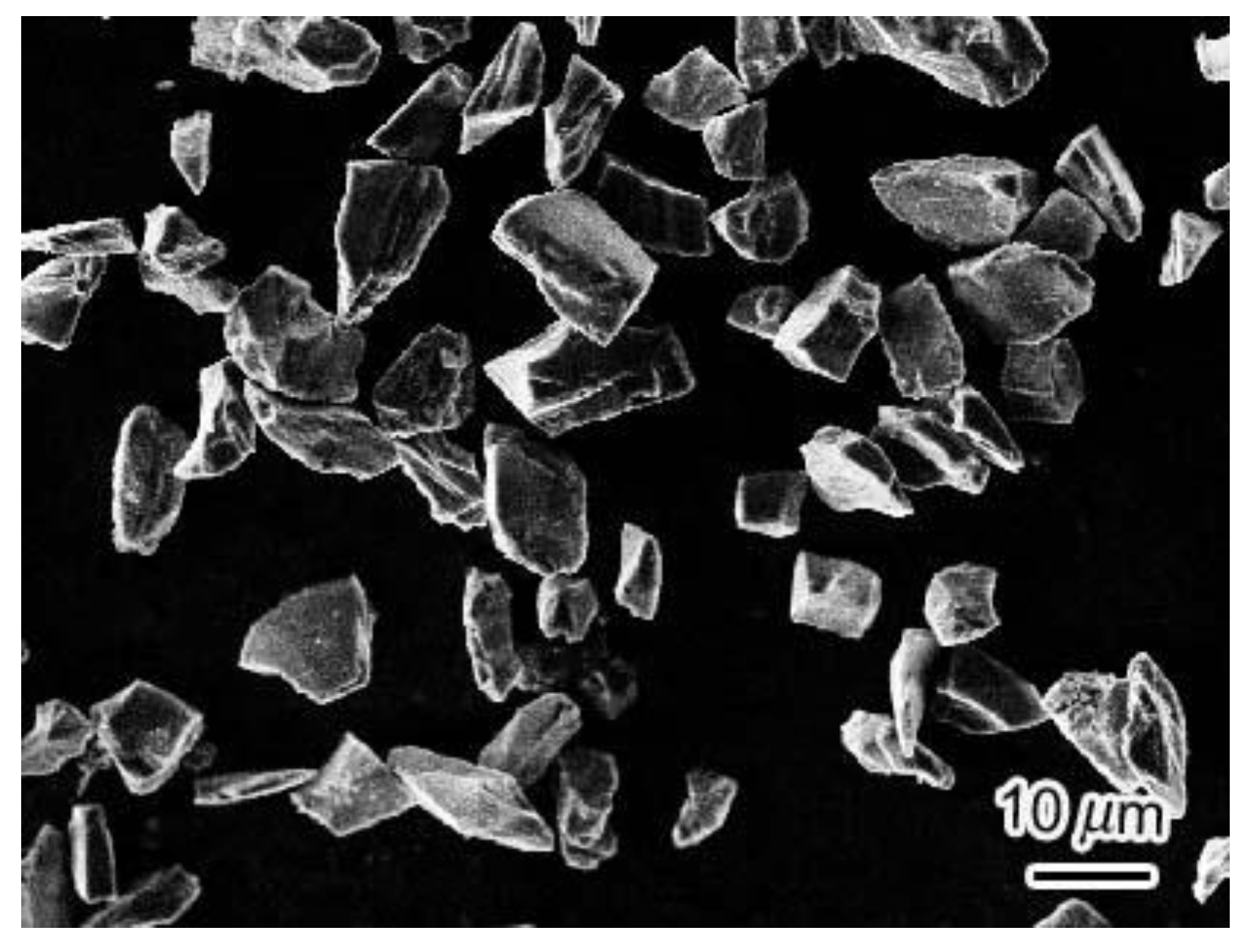 Microstructure and Wear Resistance of (Mg2Si + SiCp)/Al Composites