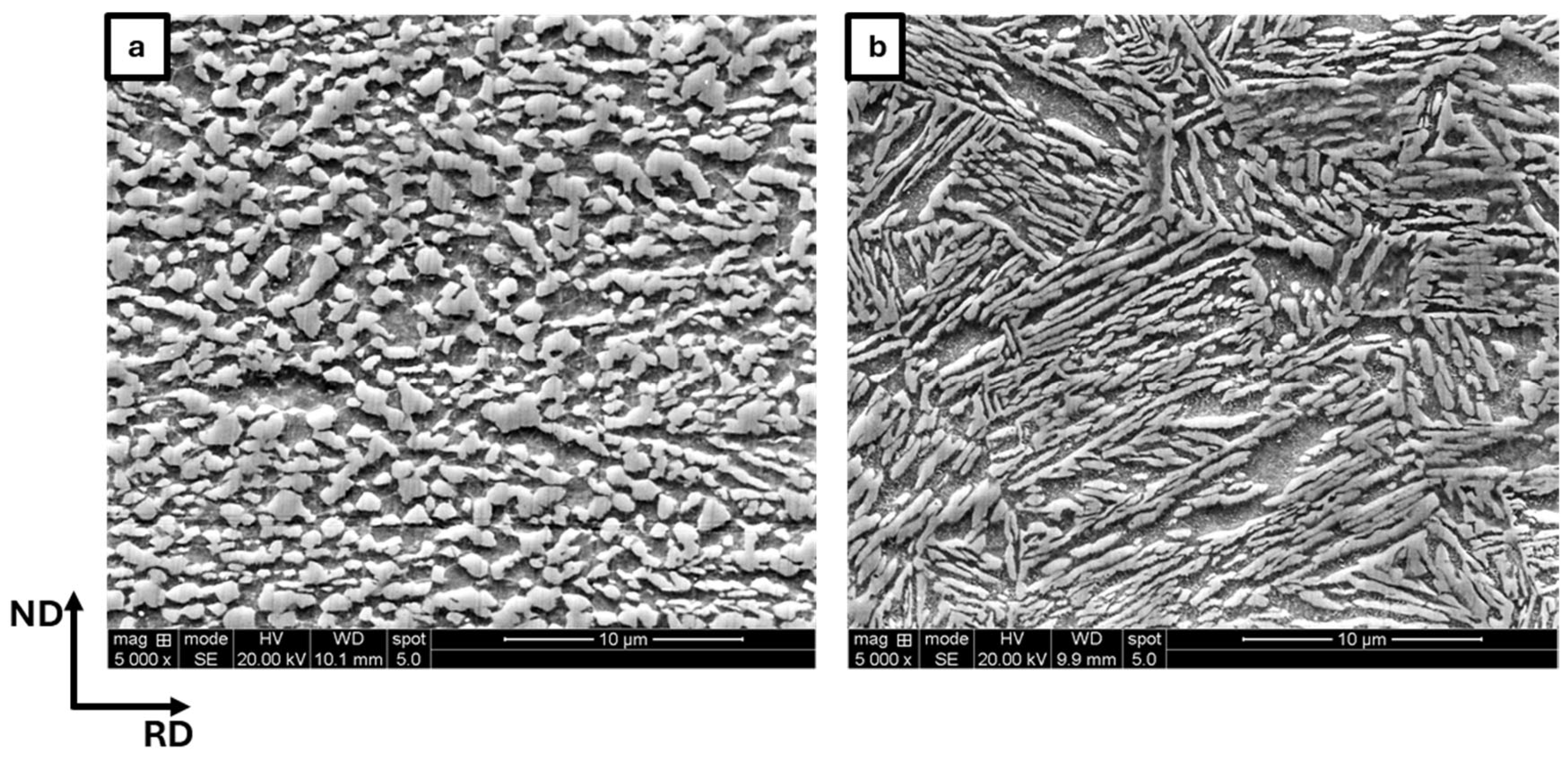 Effects of Stress State and Microstructure on Deformation-Induced ...