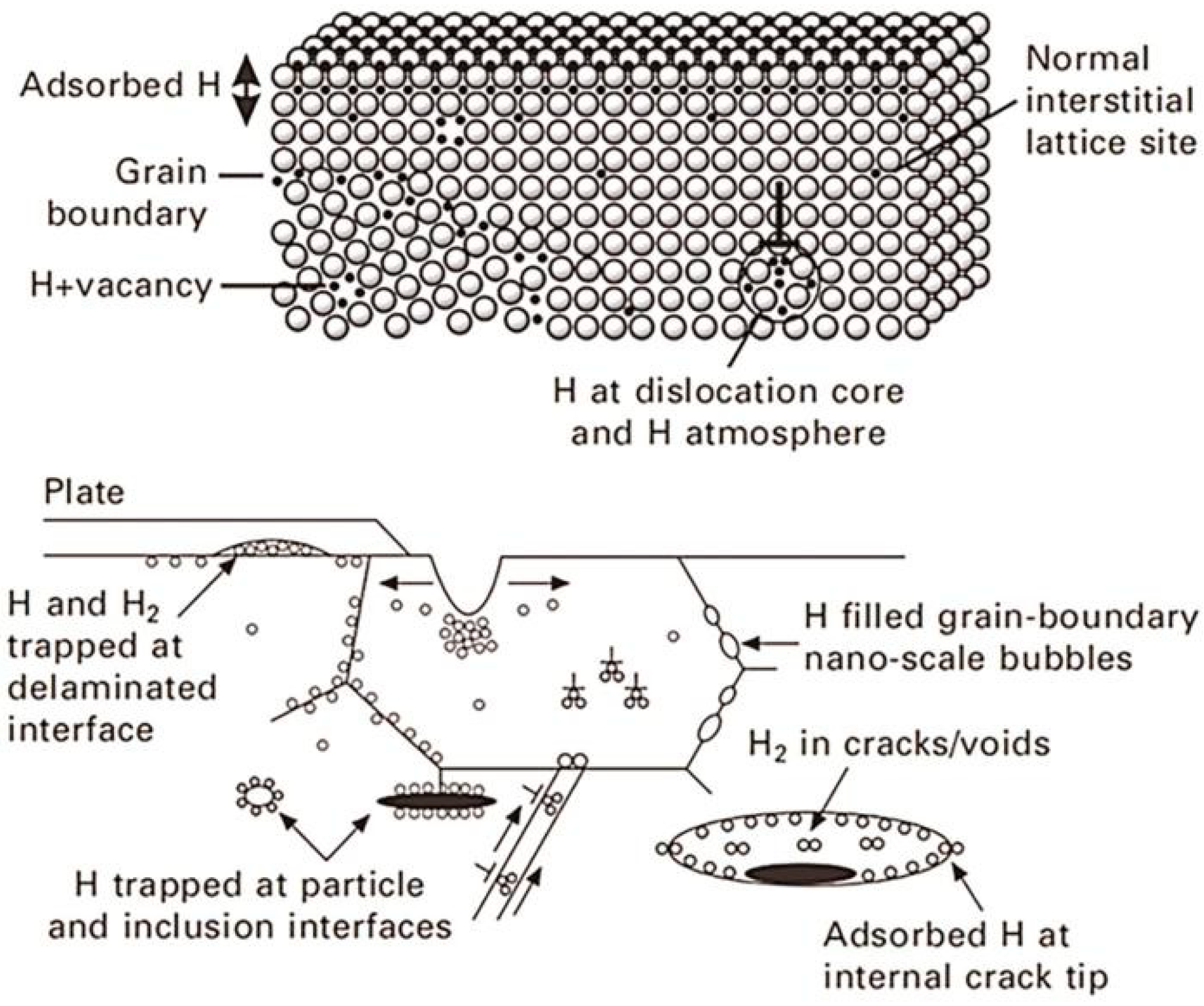 Addressing the Hydrogen Embrittlement Challenge in Future Hydrogen ...