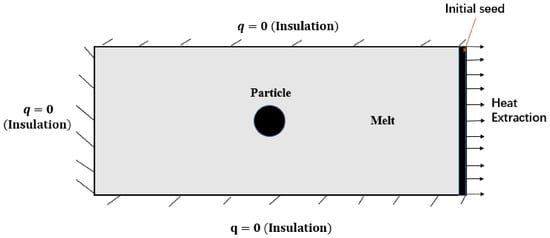 The Phase Field Model of the Insoluble Particle–Interface Interaction ...