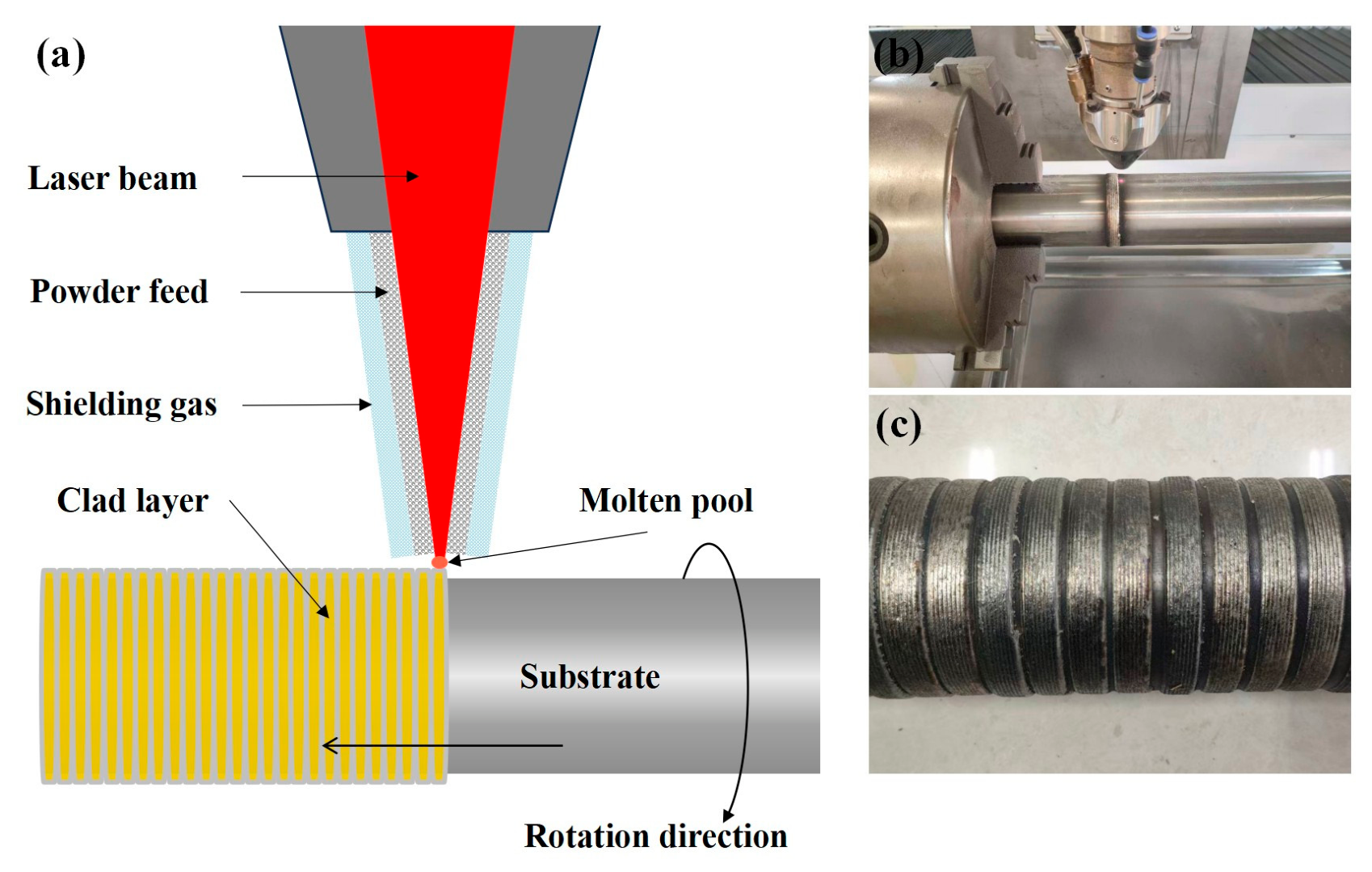 Effect of TiC Content on the Microstructure and Wear Resistance of ...