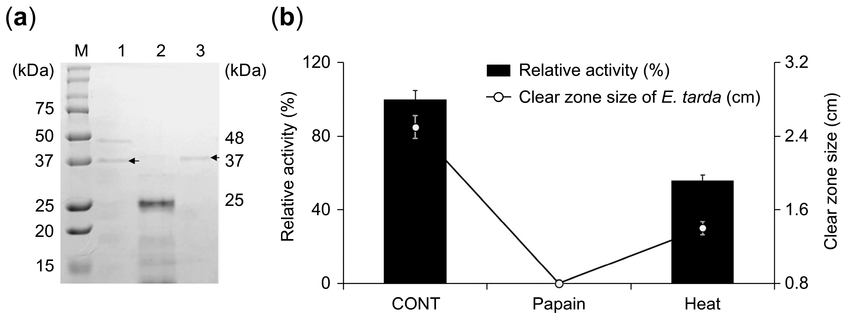 Identification and Characterization of a Proteinaceous Antibacterial ...