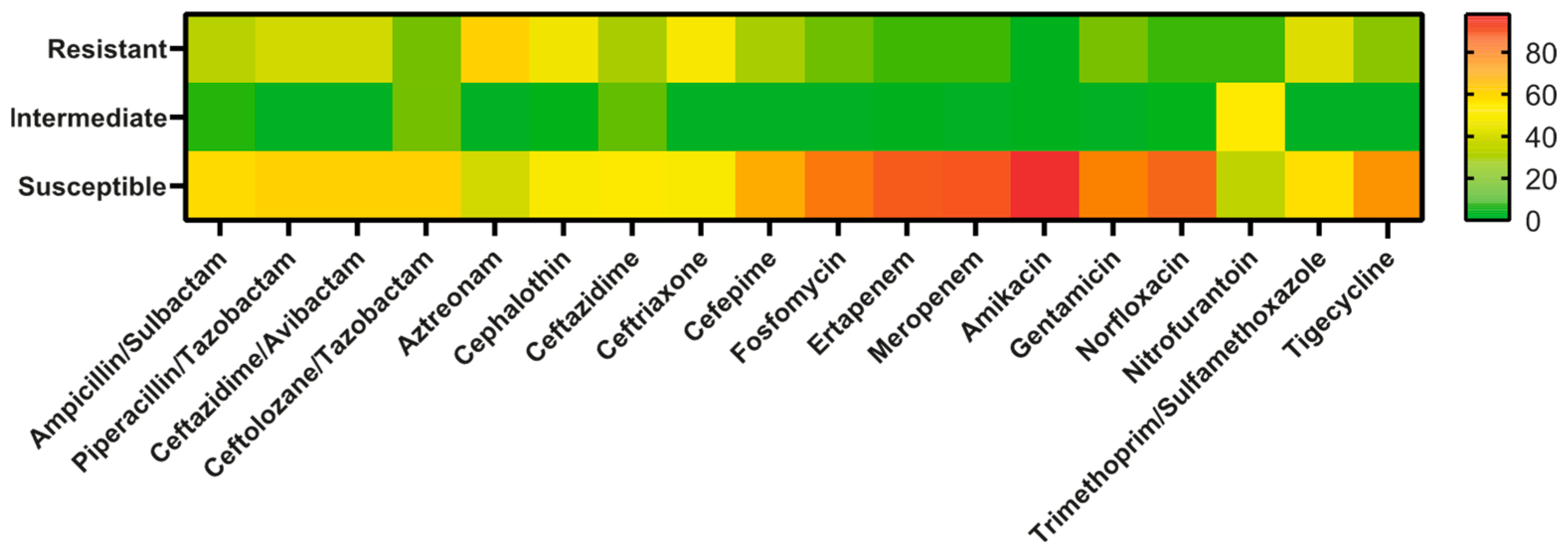 Resistance Patterns in Gram-Negative Bacilli Isolated in a Secondary ...