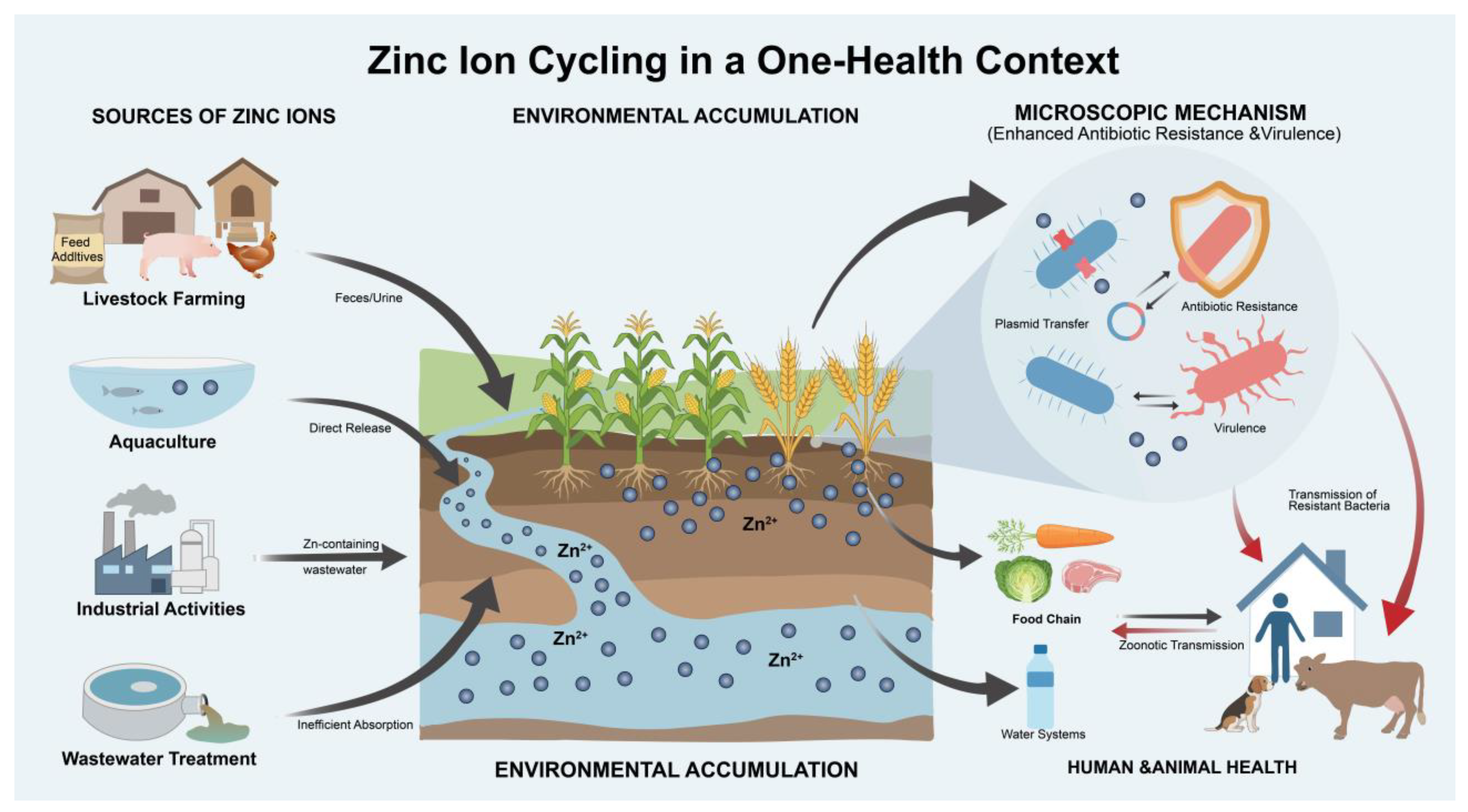 Regulatory Mechanisms of Zinc on Bacterial Antibiotic Resistance and ...