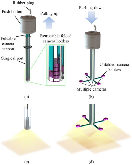 Large-Field-of-View Visualization Utilizing Multiple Miniaturized ...