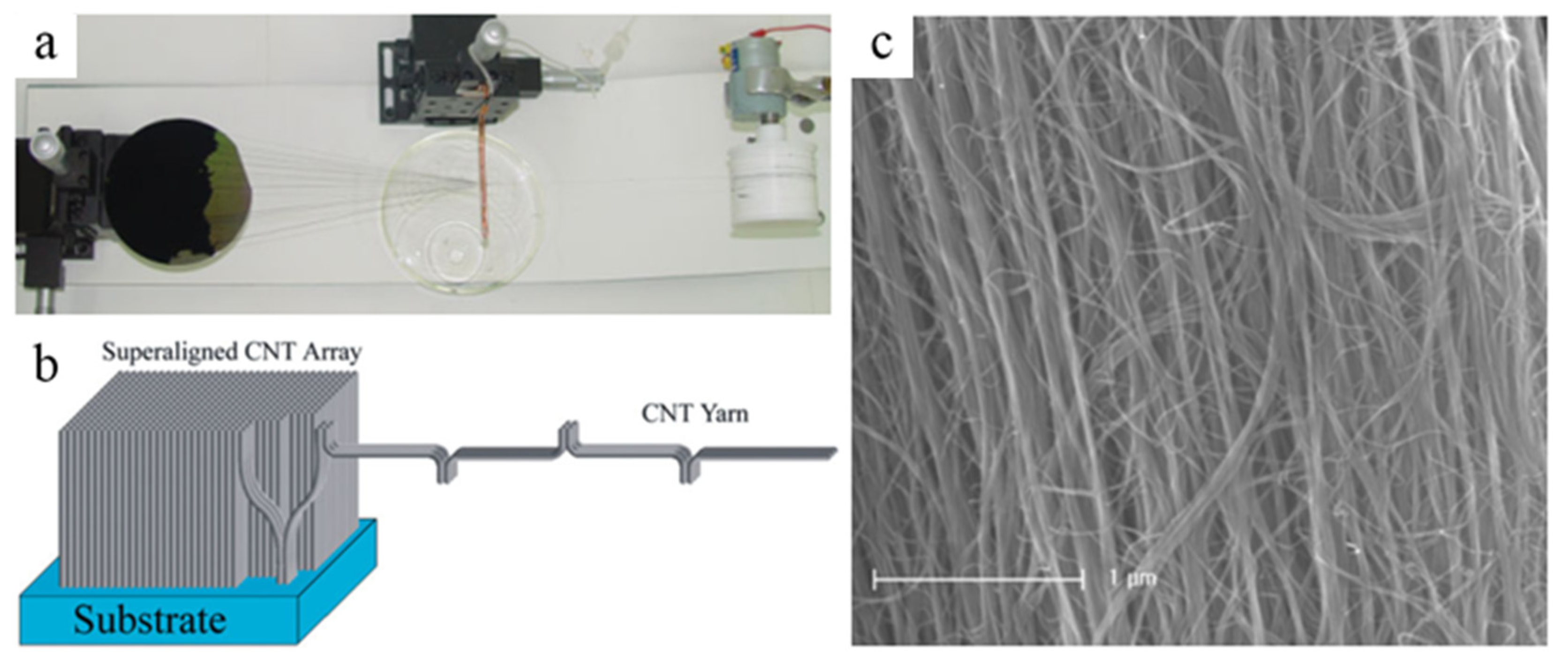 The Relevant Approaches For Aligning Carbon Nanotubes The Relevant Approaches For Aligning Carbon Nanotubes