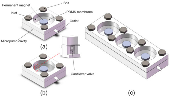High-Efficiency 3D-Printed Three-Chamber Electromagnetic Peristaltic ...