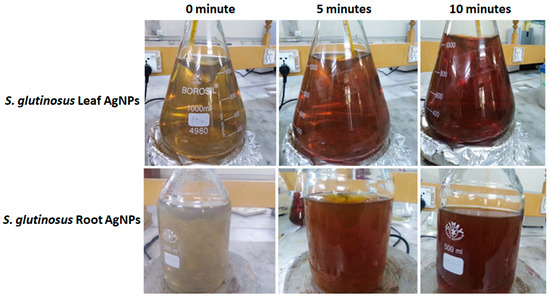 Phytochemical-Mediated Biosynthesis of Silver Nanoparticles from ...