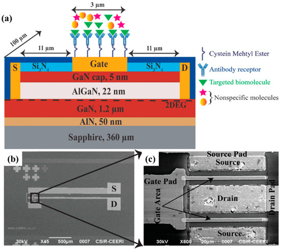 Review of the AlGaN/GaN High-Electron-Mobility Transistor-Based ...