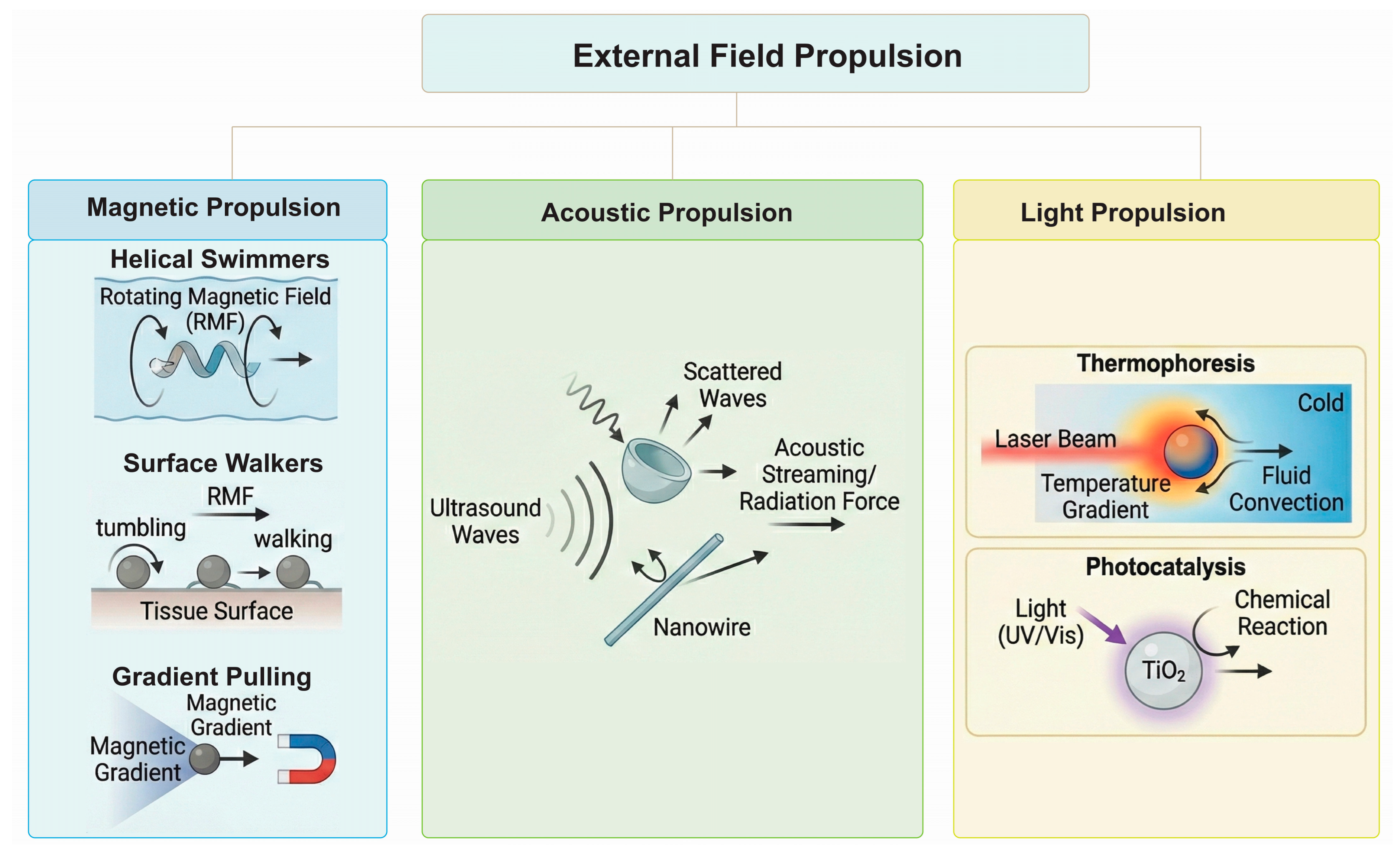 Active Propelled Micro Robots in Drug Delivery for Urologic Diseases