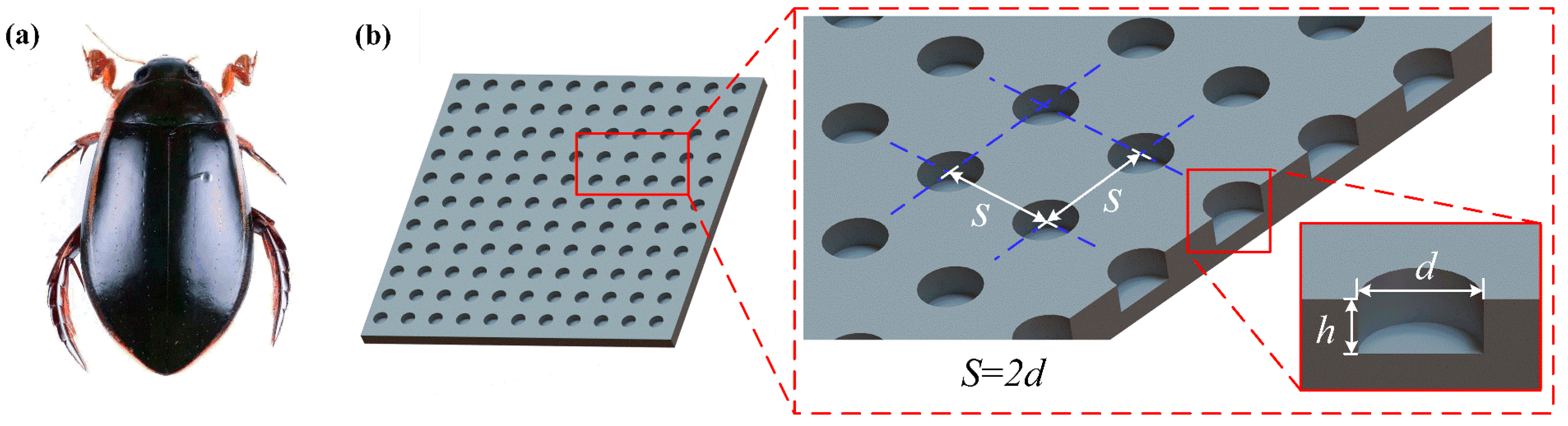 Fabrication and Drag Reduction Performance of Flexible Bio-Inspired ...
