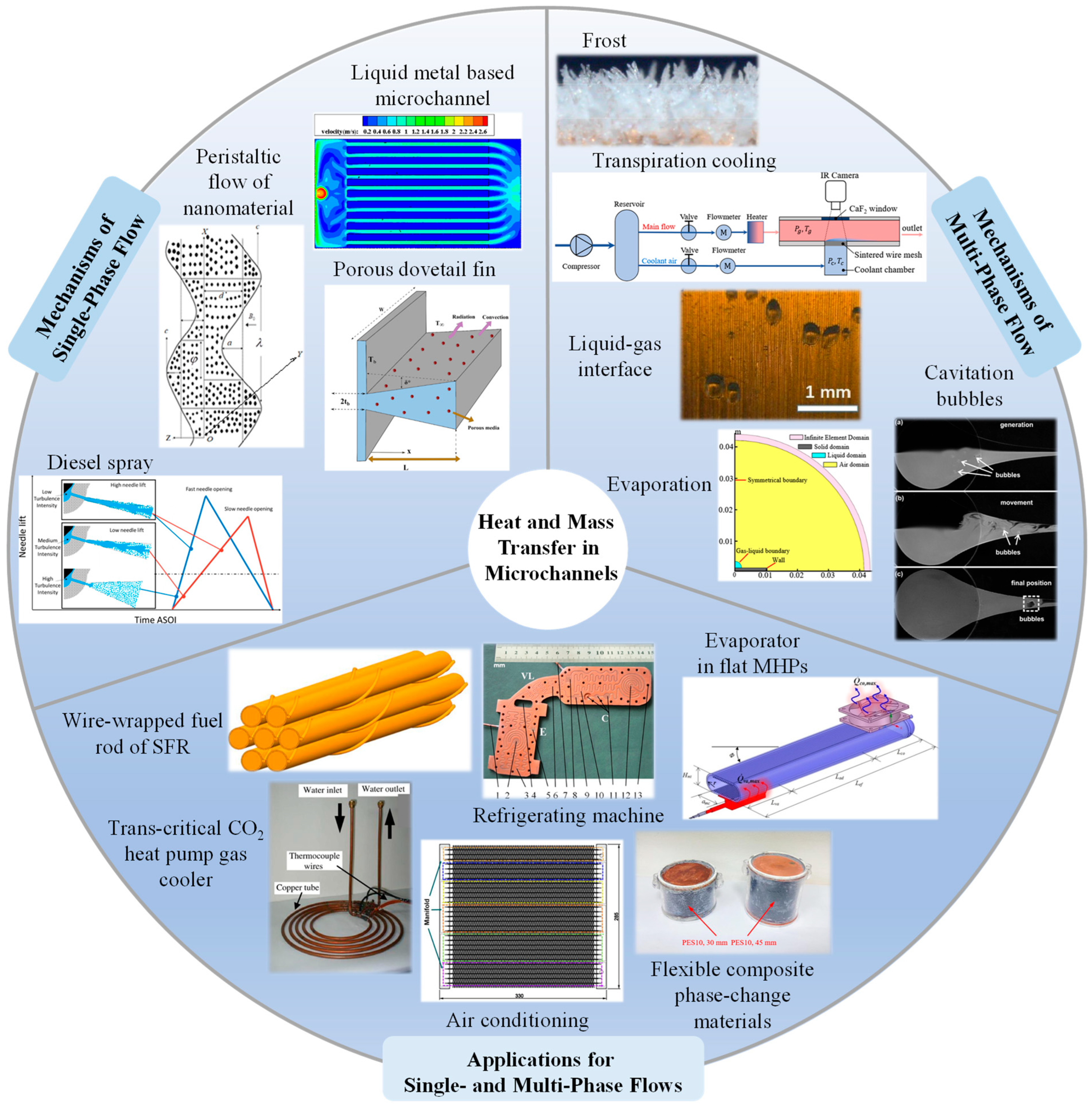 Editorial for the Special Issue on Heat and Mass Transfer in Microchannels