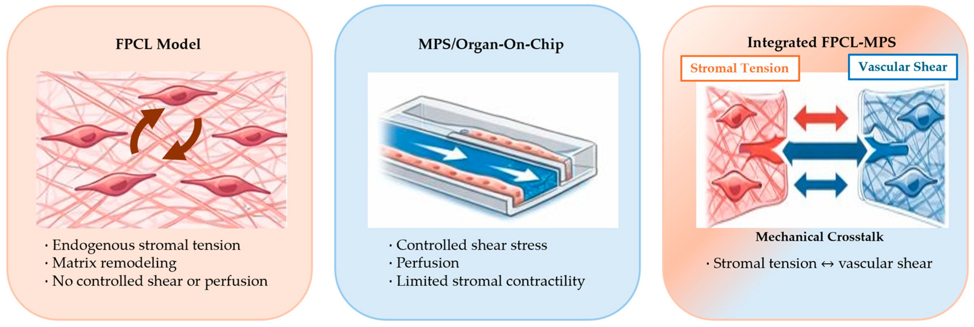 Integration of Fibroblast-Populated Collagen Lattices and Perfusable ...