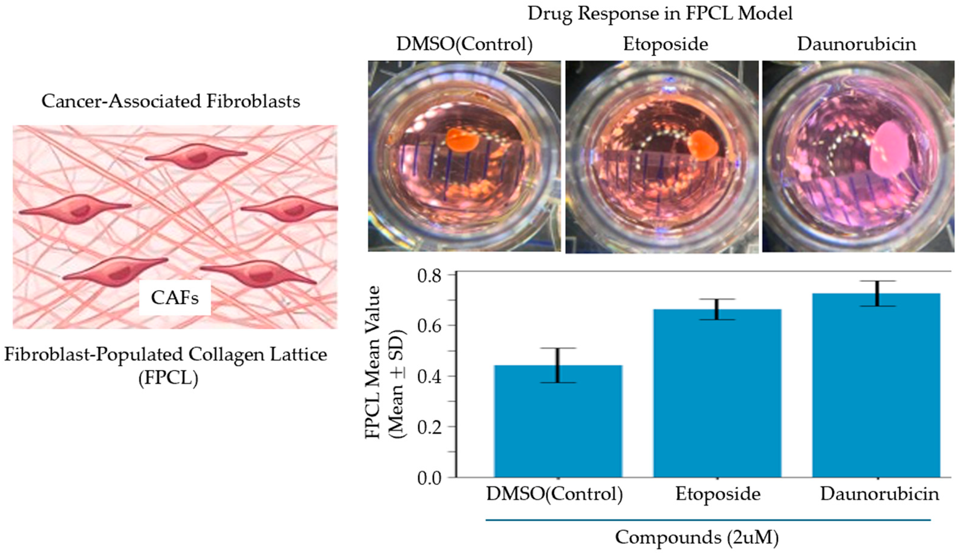Integration of Fibroblast-Populated Collagen Lattices and Perfusable ...