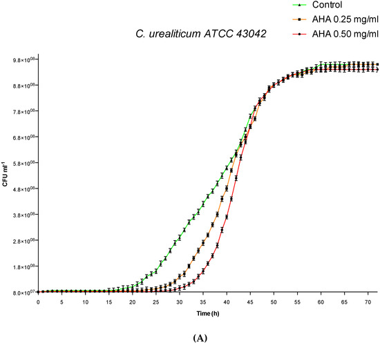 Preliminary In Vitro Studies on Corynebacterium urealyticum ...