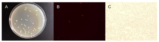 Genome Analysis of a Marine Bacterium Halomonas sp. and Its Role in ...
