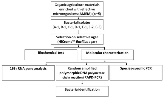 Biochemical Identification Of Microorganisms