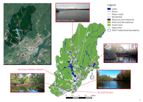Rapid Changes in Microbial Community Structures along a Meandering River