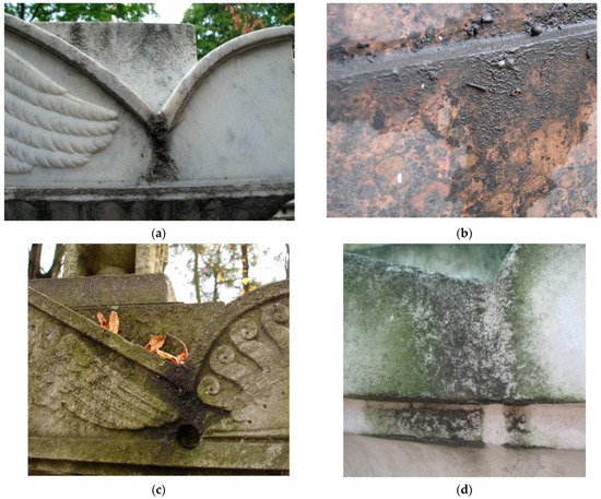Microorganisms in Superficial Deposits on the Stone Monuments in Saint ...