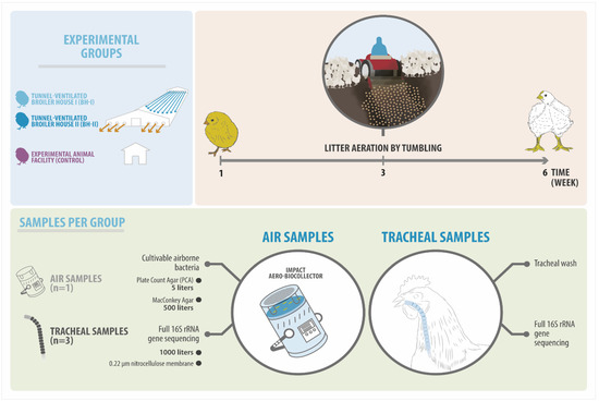 Litter Management Strategies and Their Impact on the Environmental and ...