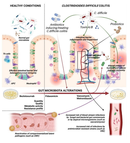 Concurrent and Subsequent Co-Infections of Clostridioides difficile ...