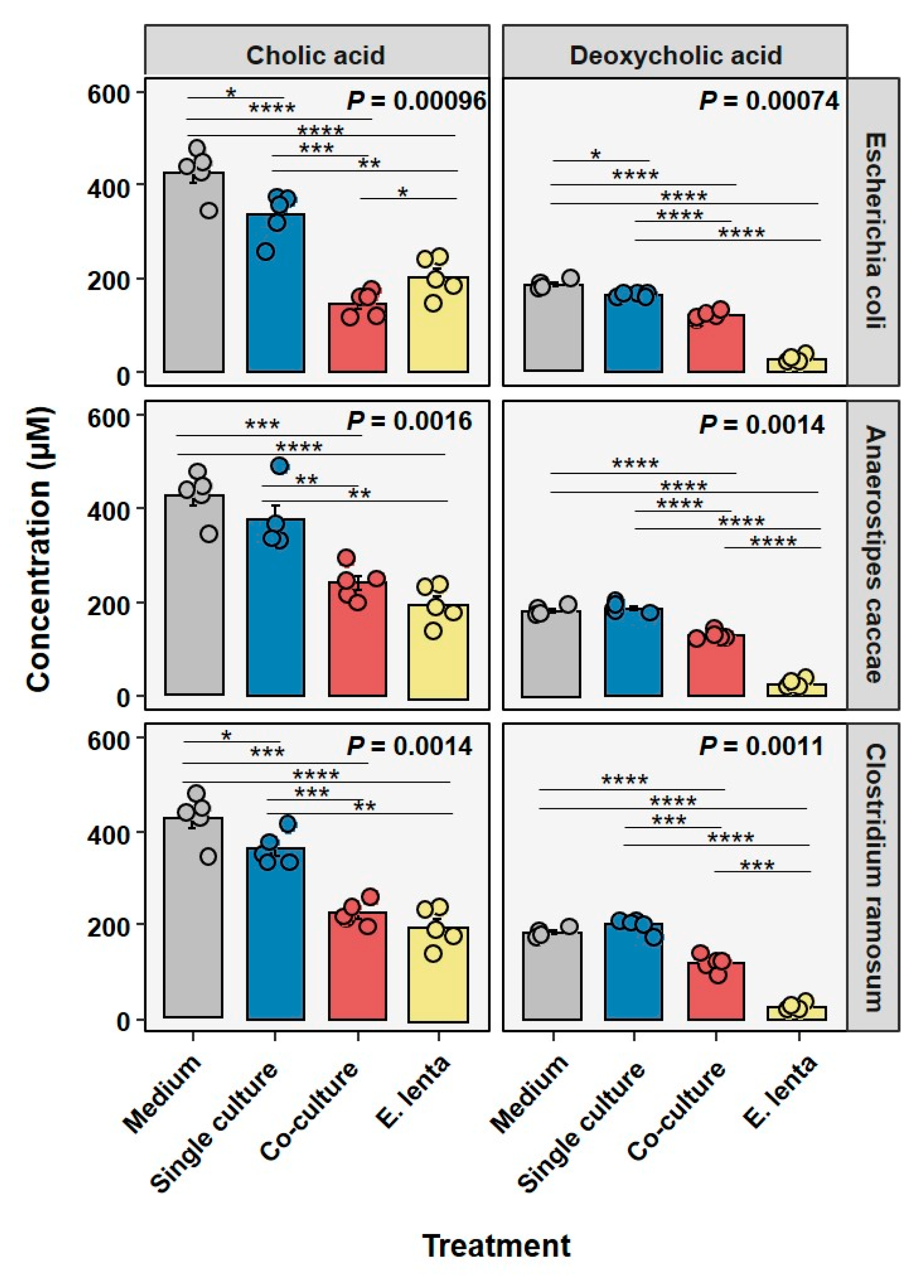 Eggerthella lenta DSM 2243 Alleviates Bile Acid Stress Response in ...