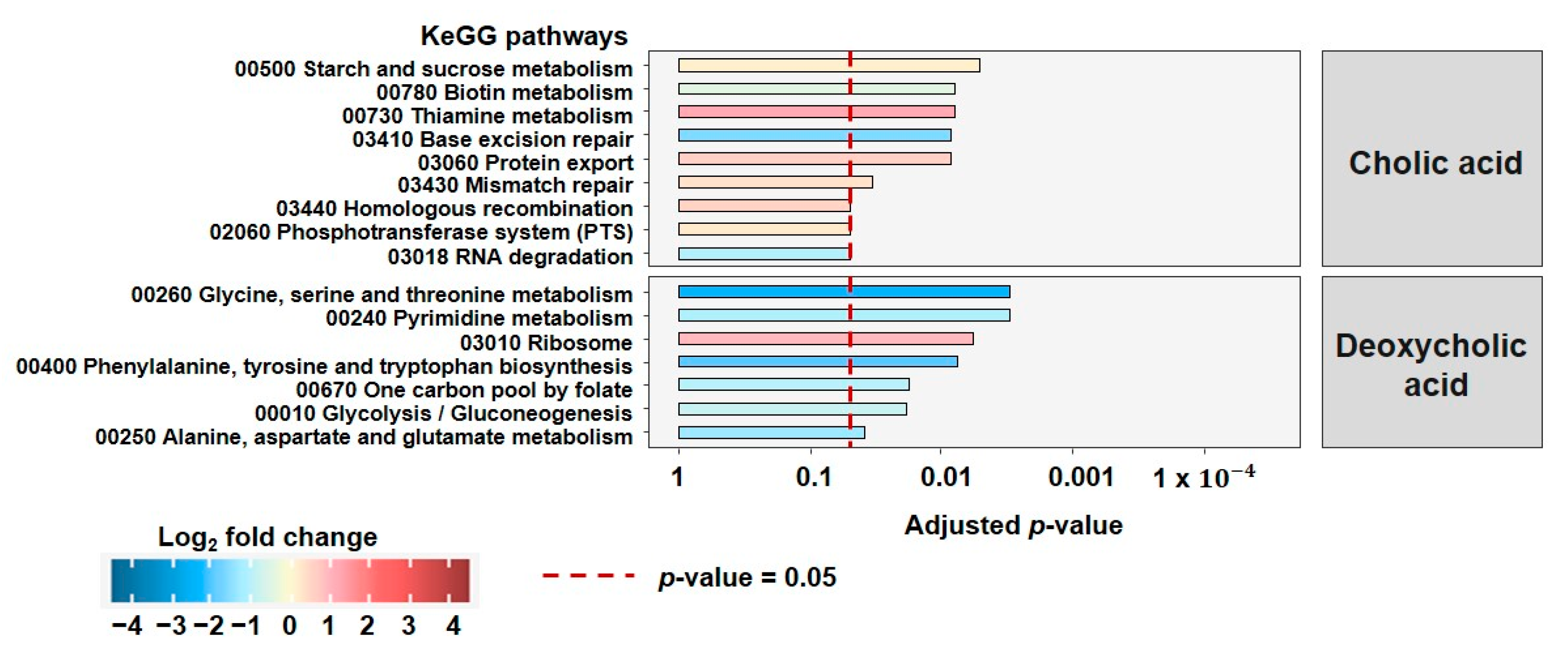 Eggerthella lenta DSM 2243 Alleviates Bile Acid Stress Response in ...
