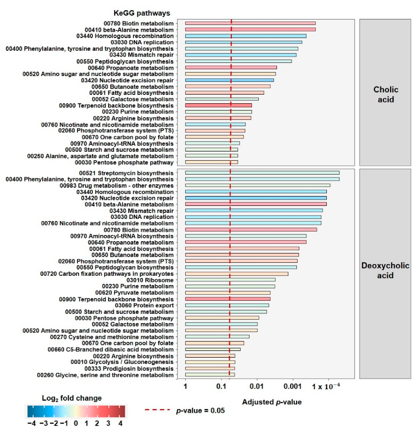 Eggerthella lenta DSM 2243 Alleviates Bile Acid Stress Response in ...