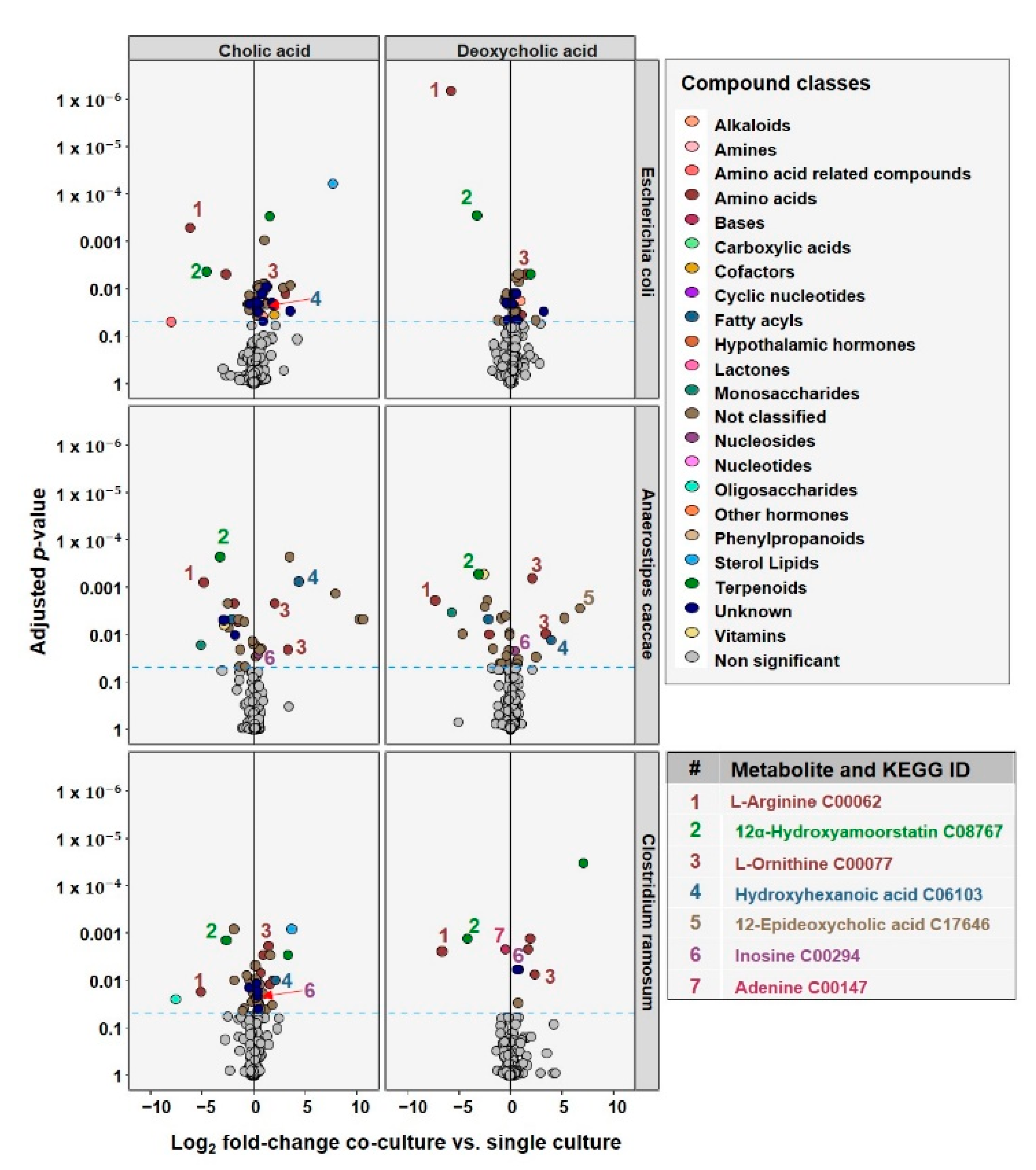 Eggerthella lenta DSM 2243 Alleviates Bile Acid Stress Response in ...