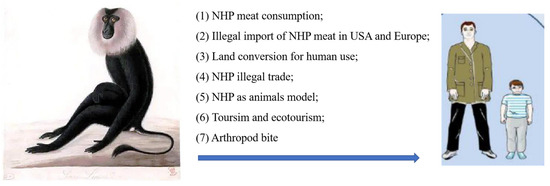 A Review on Zoonotic Pathogens Associated with Non-Human Primates ...