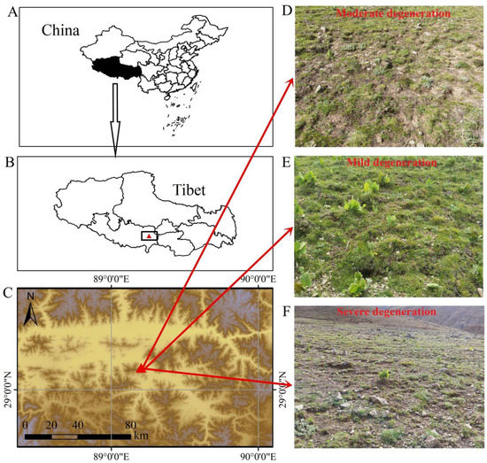Rare Bacteria Can Be Used as Ecological Indicators of Grassland Degradation