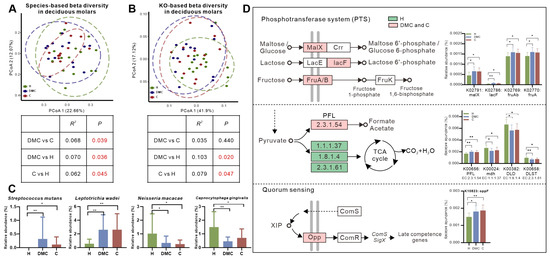 Microbial Relationship of Carious Deciduous Molars and Adjacent First ...