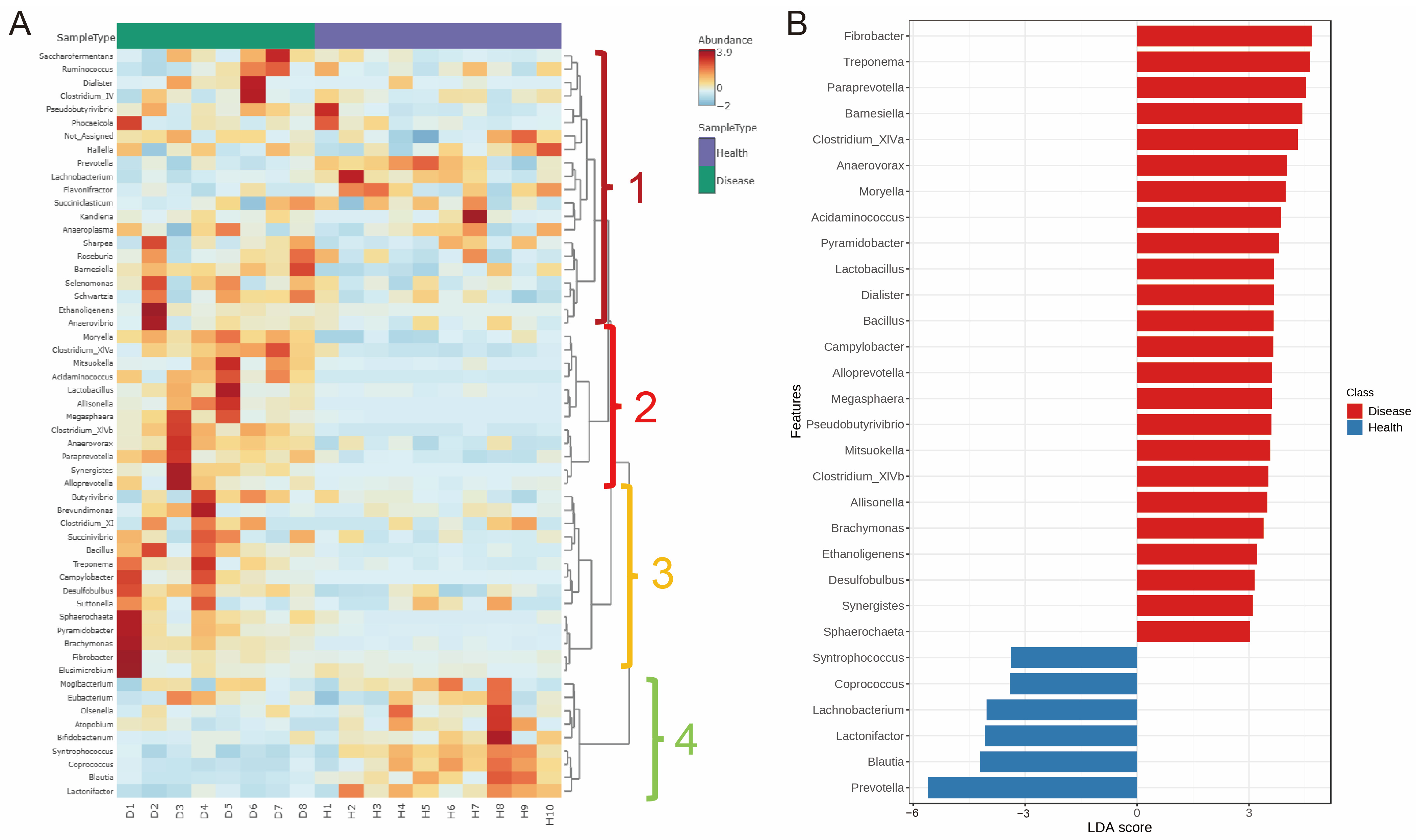 Comparative Analysis of Rumen Microbiota Composition in Dairy Cows with ...