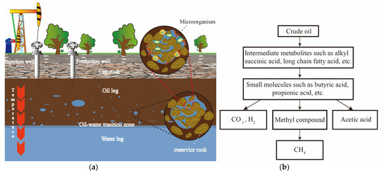 Progress of Crude Oil Gasification Technology Assisted by ...