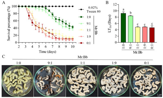 Gut Microbial Diversity Reveals Differences in Pathogenicity between ...