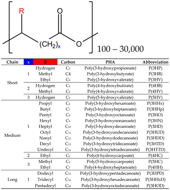 A Review of Polyhydroxyalkanoates: Characterization, Production, and ...