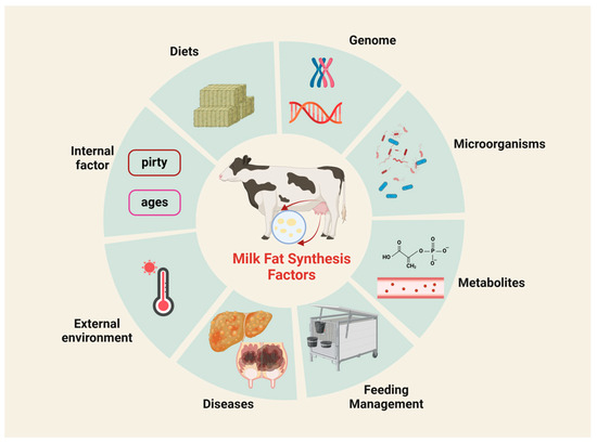 Regulation of Milk Fat Synthesis: Key Genes and Microbial Functions