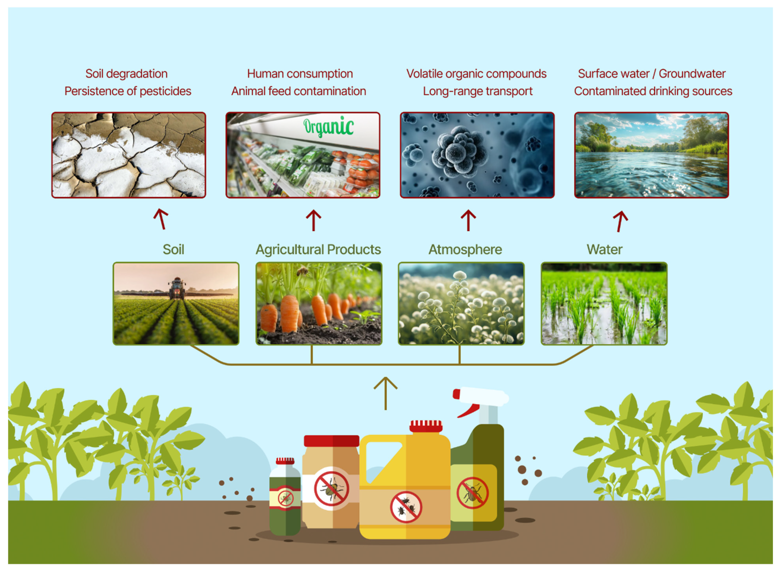 Harnessing Microalgae and Cyanobacteria for Sustainable Pesticide Biodegradation: Advances ...