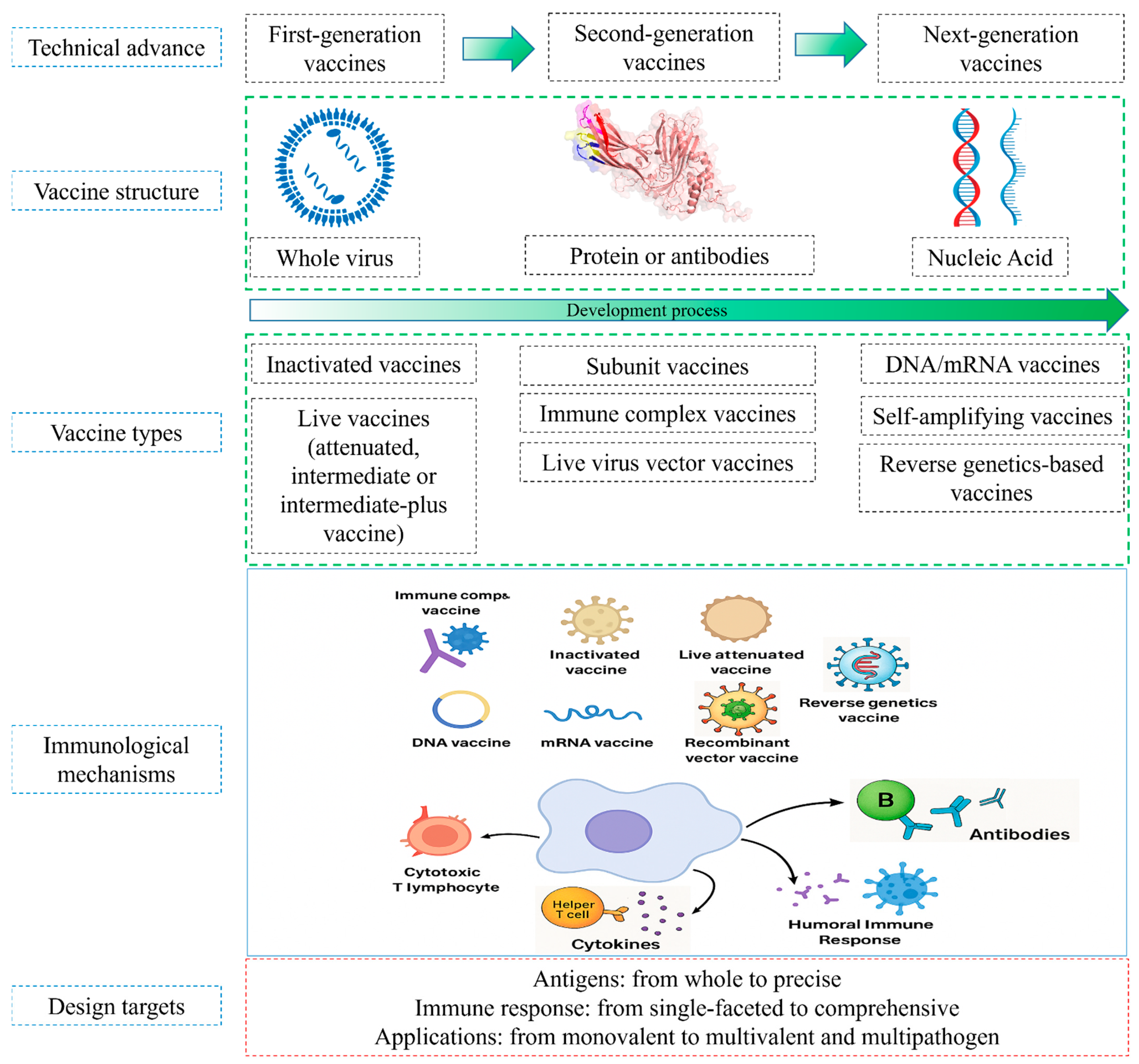 Advances in Infectious Bursal Disease Virus Vaccines—A Review