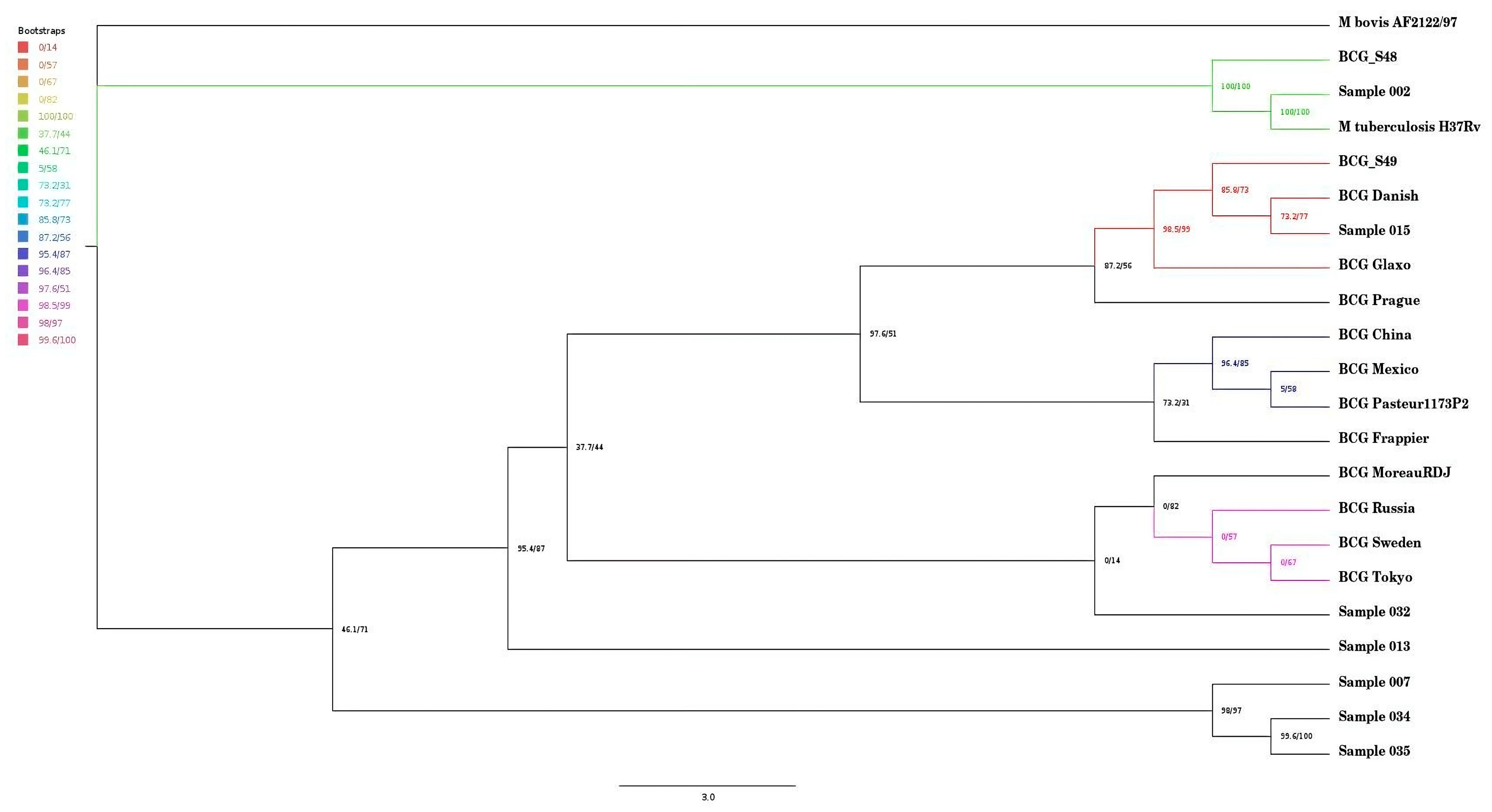 Genomic Profiling and Mutation Analysis of Mycobacterium bovis BCG Strains Causing Clinical Disease