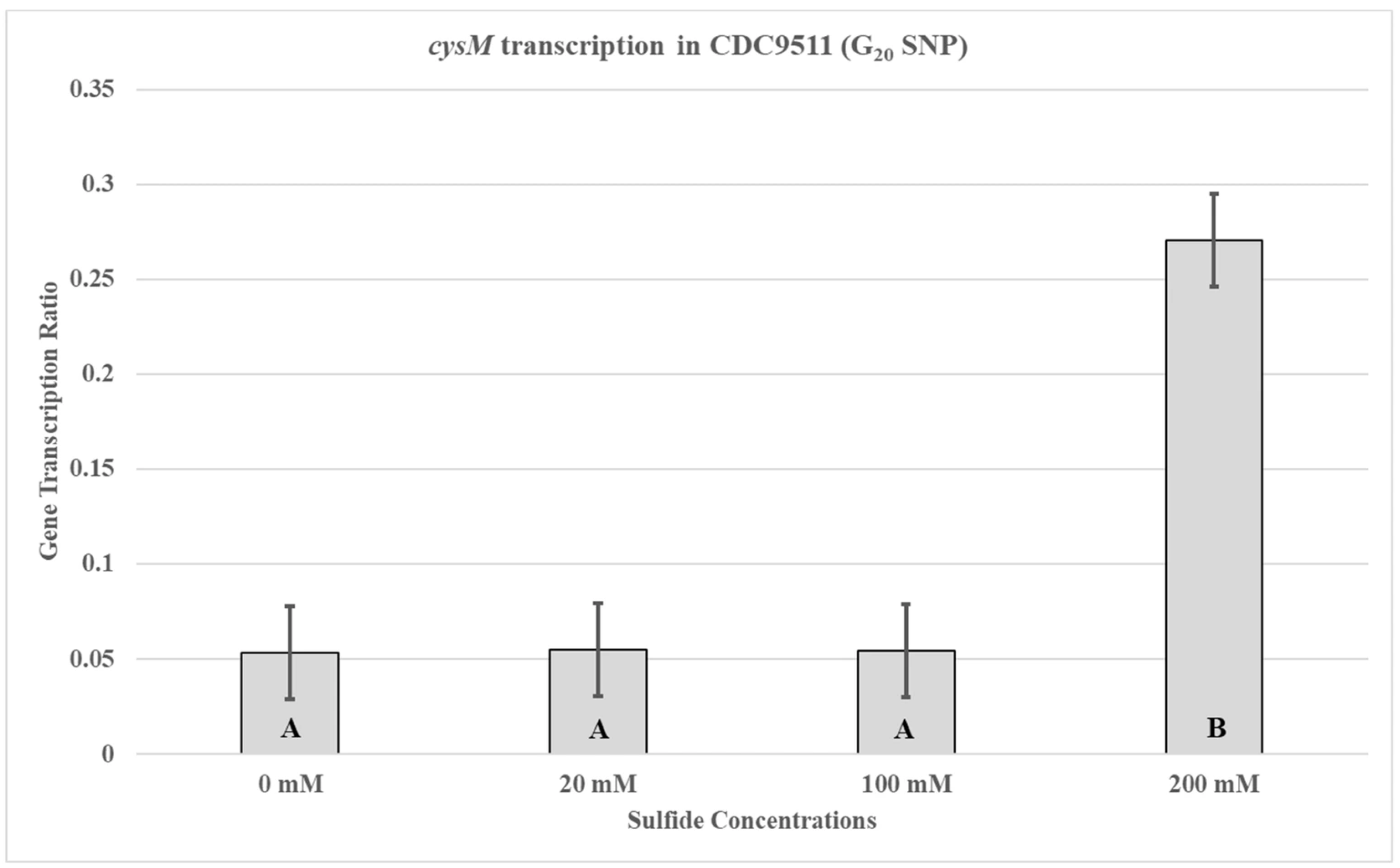 Sulfur Starvation, Sulfide Supplementation, and cysM Transcription in ...
