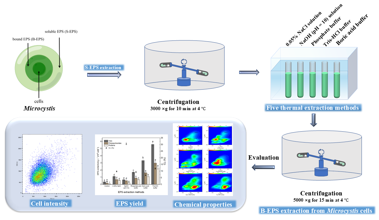 Assessment System and Optimization of the Thermal Extraction Methods ...