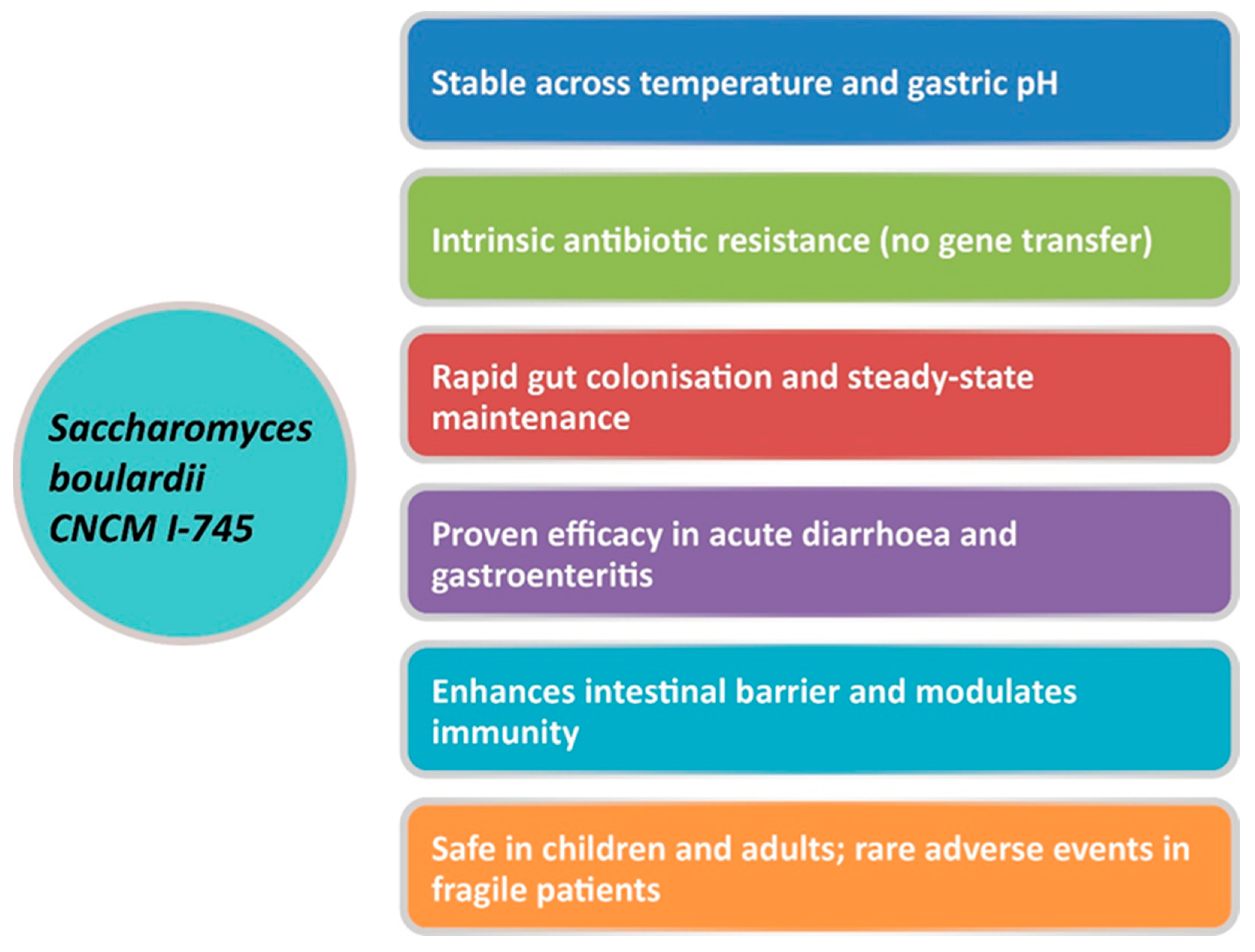 Managing Gut Dysbiosis: Clinical Evidence and Perspectives on ...
