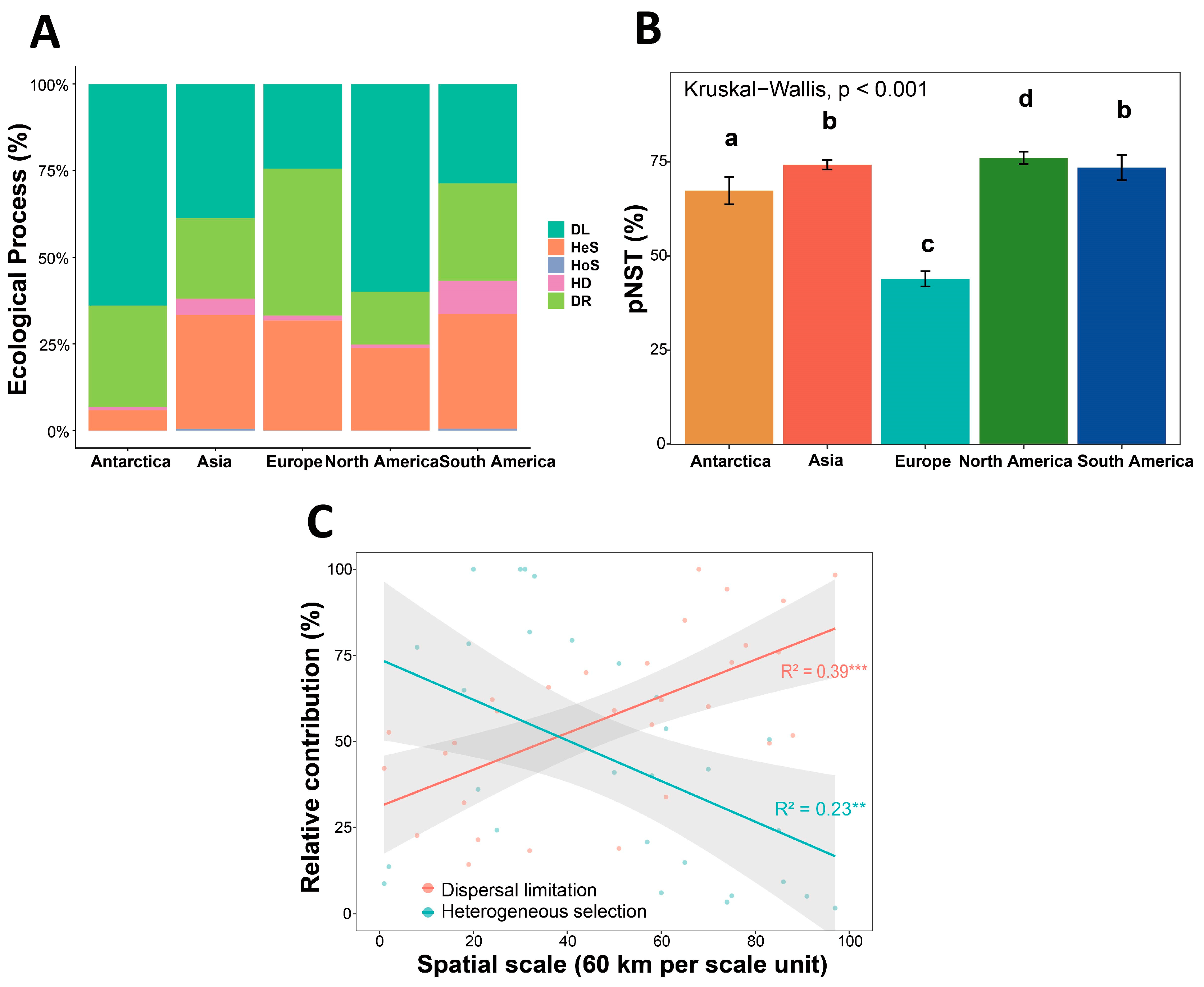 Biogeography of Cryoconite Bacterial Communities Across Continents