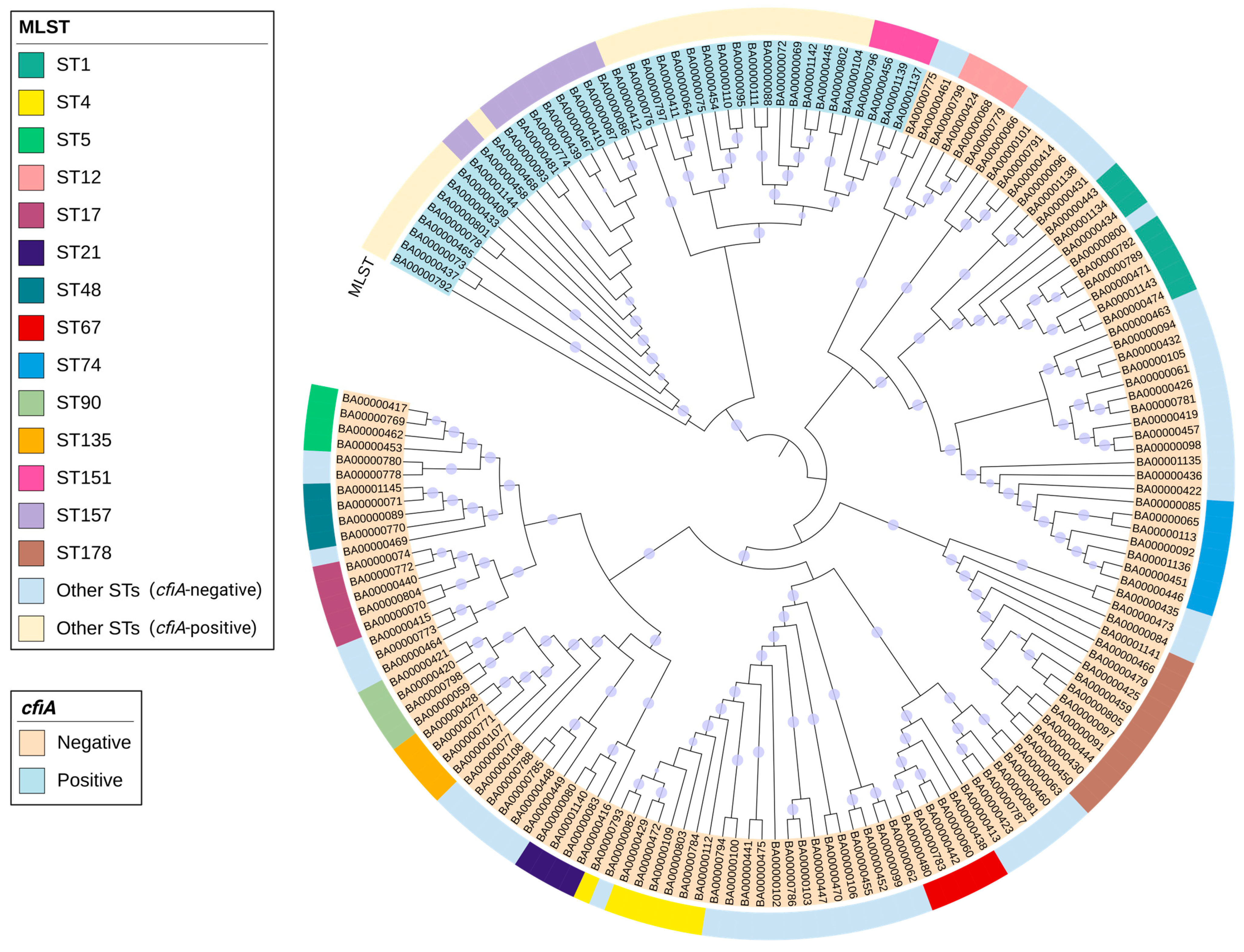 Clinical Significance of cfiA Positivity Detected by Matrix-Assisted ...