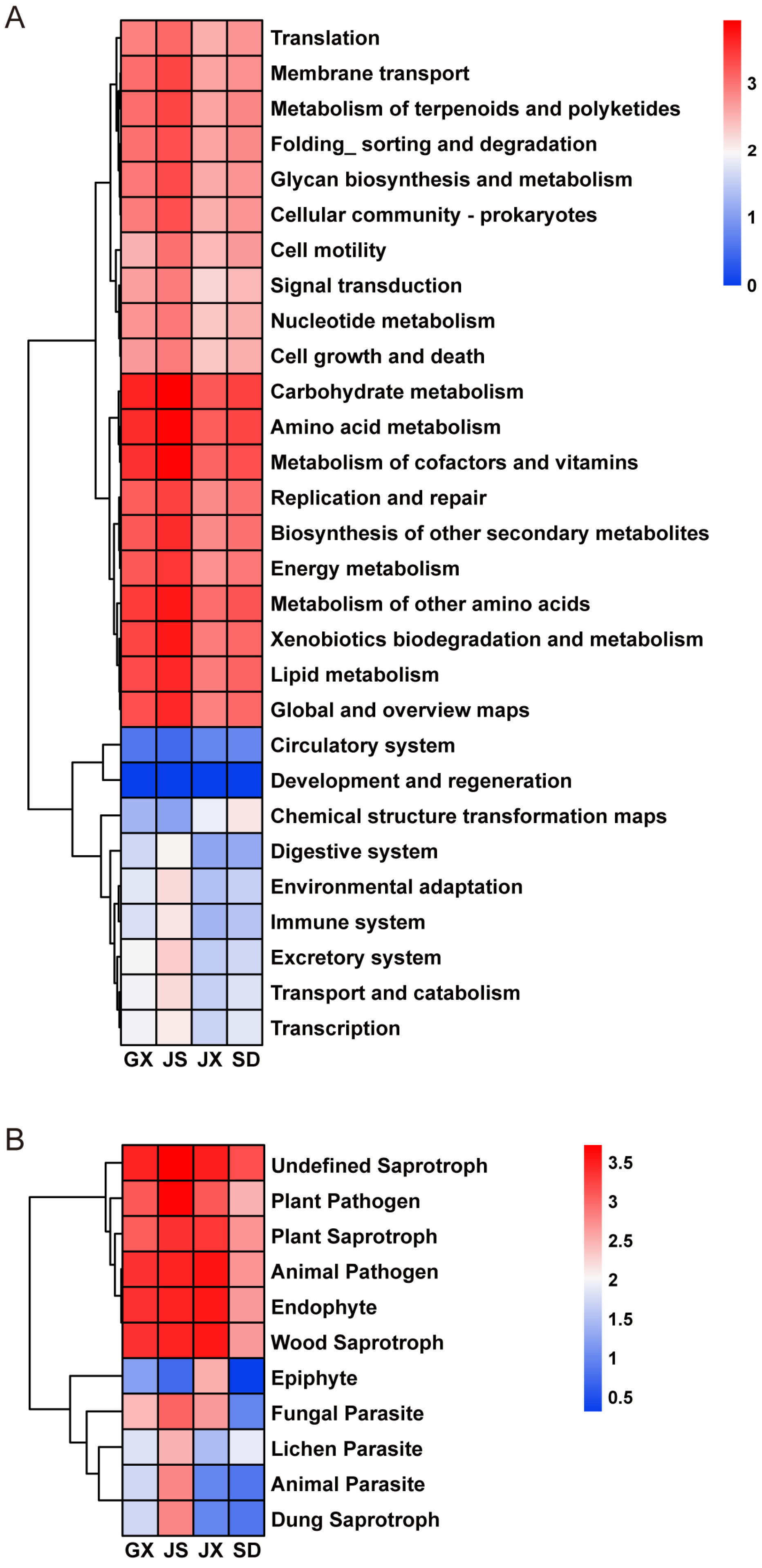 Characterization of Seed Endophytic Microbiota in Pinus massoniana
