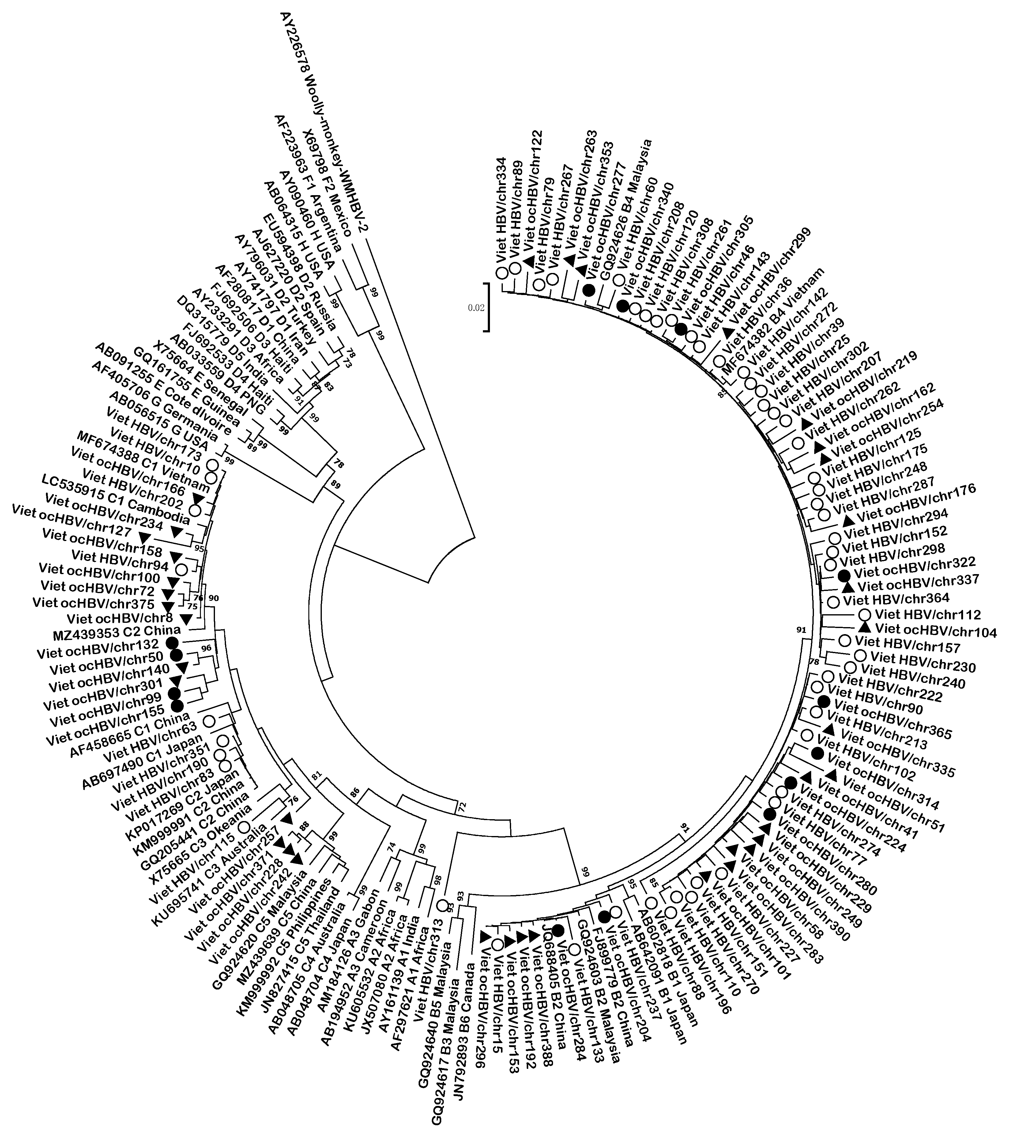 Unveiling the Hidden Reservoir: High Prevalence of Occult Hepatitis B ...