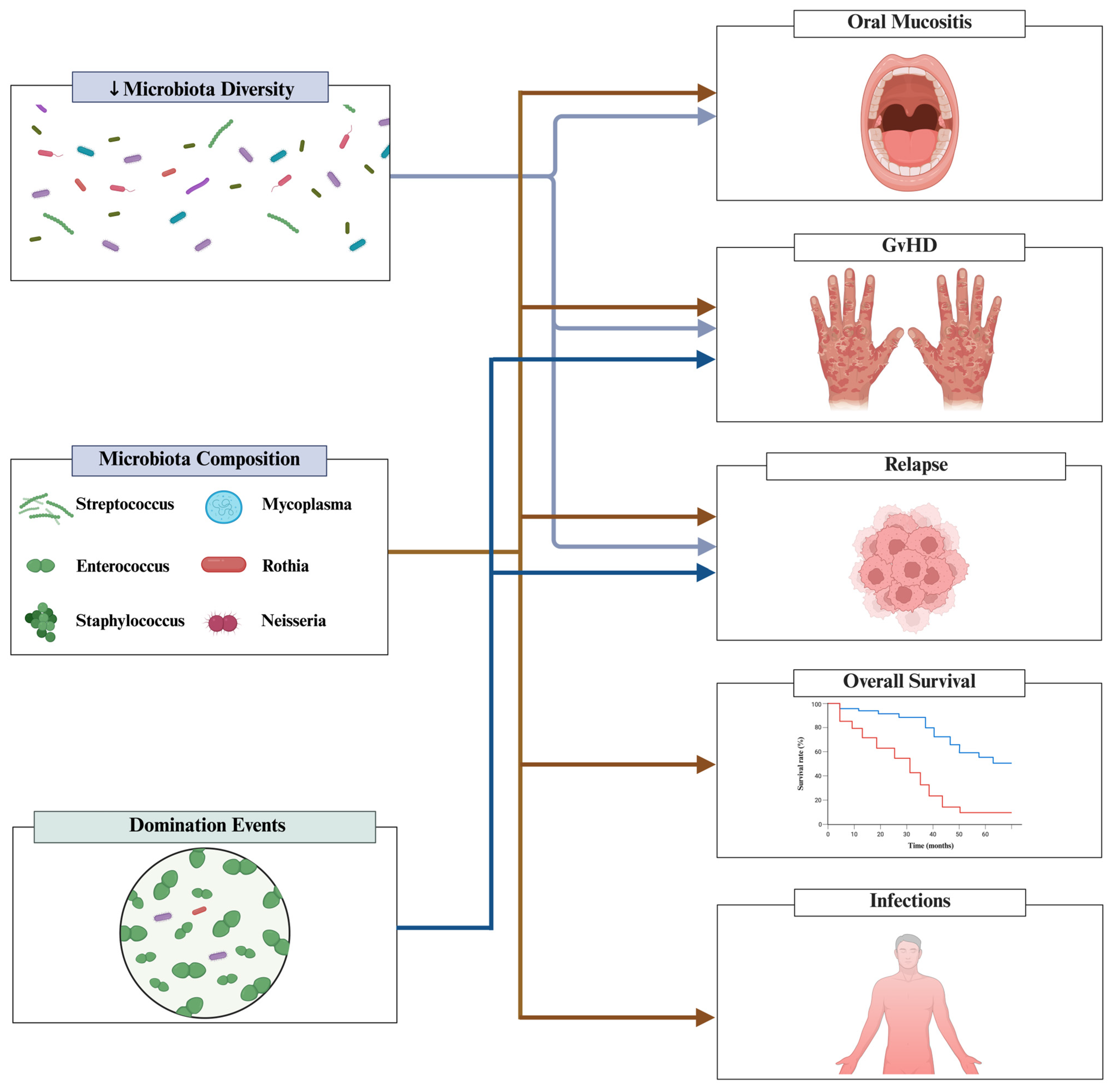 Oral Microbiota and Clinical Outcomes in Allogenic Hematopoietic Stem ...